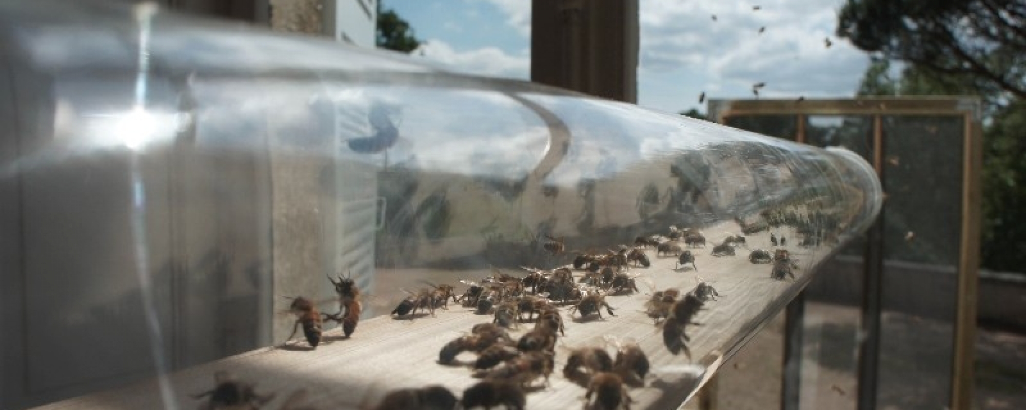 robin meier | ♠ ☀ ☁ ☂ ♥