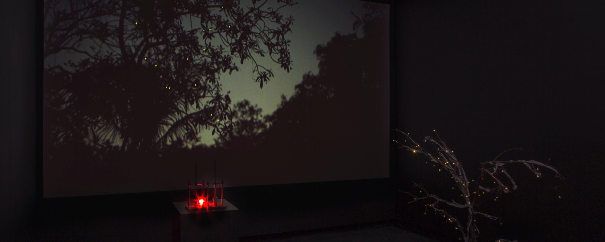 robin meier | ♠ ☀ ☁ ☂ ♥