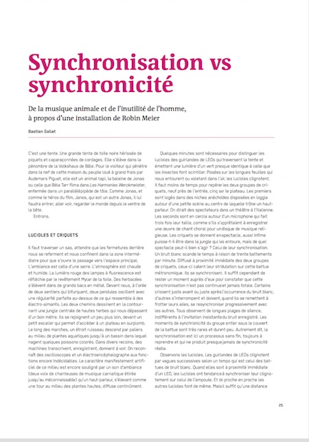 Synchronisation vs. Synchronicity | robin meier