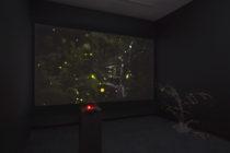 Synchronicity (NYC) | robin meier